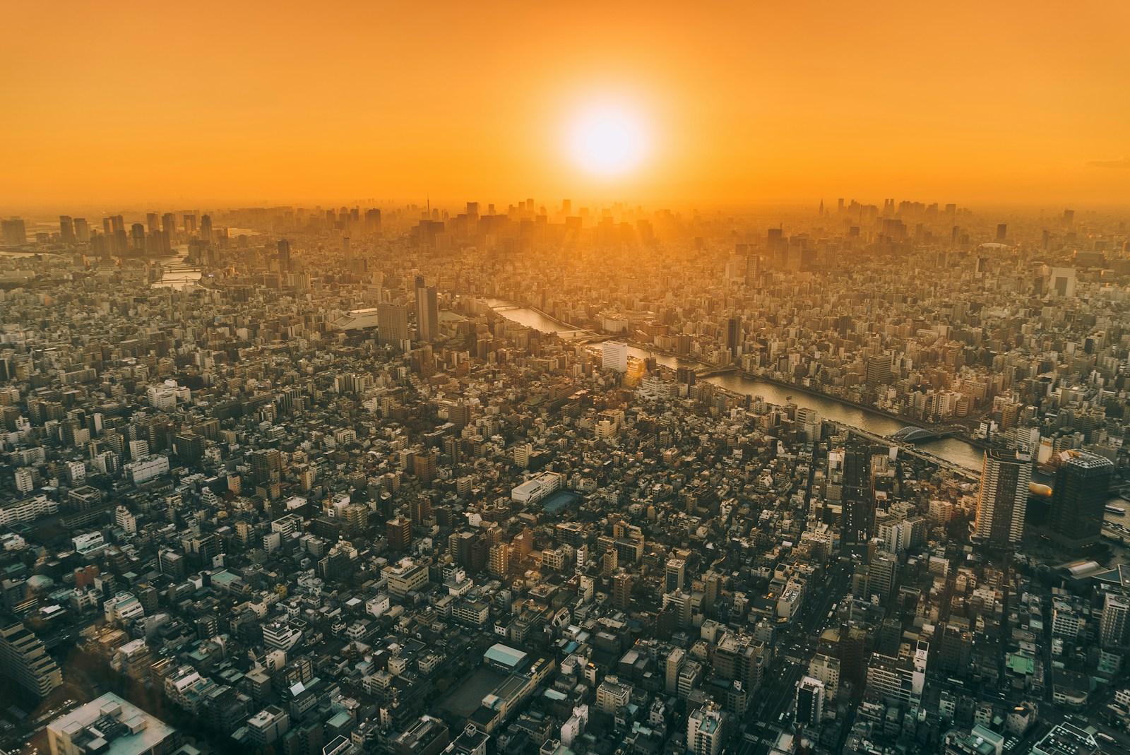 Tokyo Tower: 10 Must-Know Secrets Before Visiting This Iconic ...