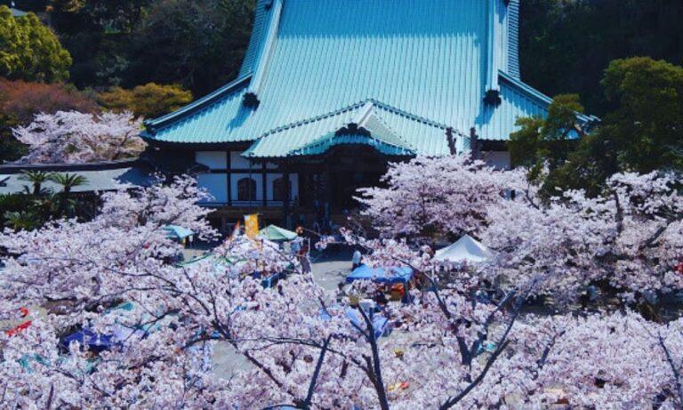 The Best Kamakura Festivals to Experience Year-Round