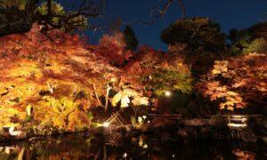 The Best Kamakura Festivals to Experience Year-Round